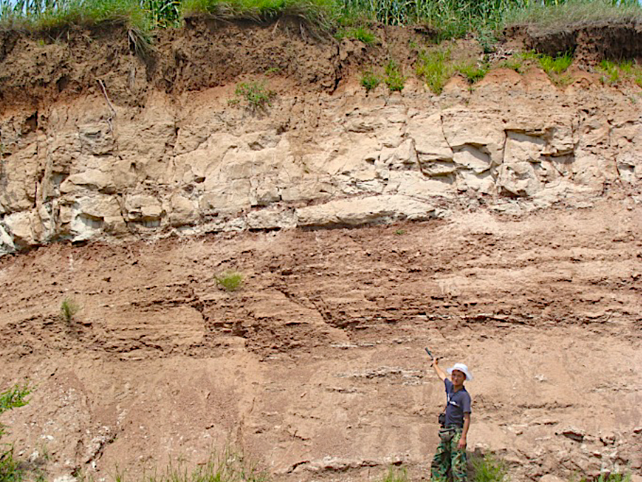 Lithology Pattern: